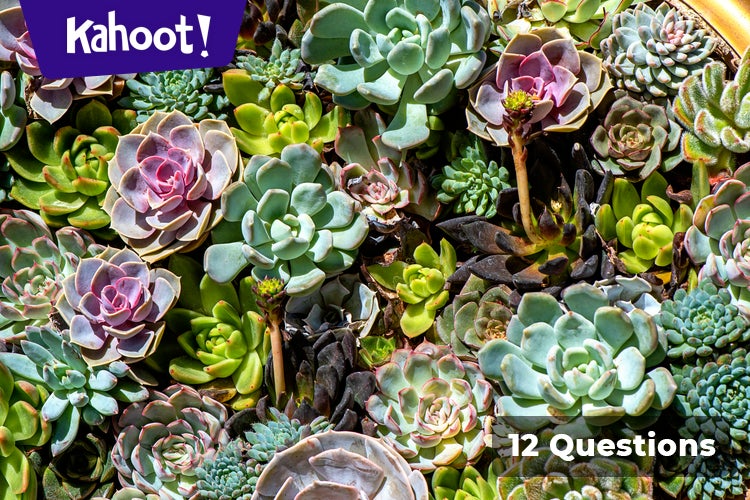 What are Plant Adaptations? - Kahoot! Quiz