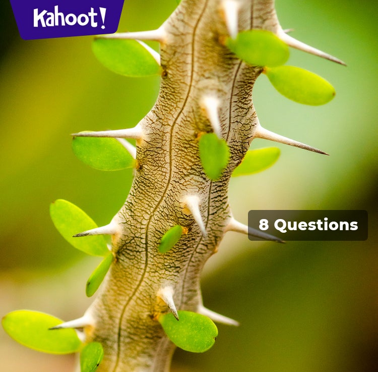 Sheltered Plant Adaptations - Kahoot! Quiz