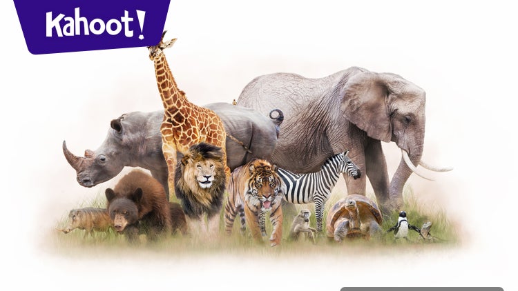 Classify these animals - Kahoot! Quiz