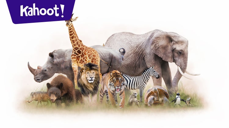 Animals - Kahoot! Quiz