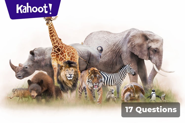 Unit 4 Animal Fun! - Kahoot! Quiz