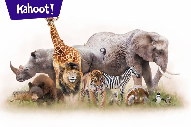 Bien Dit 3/4 Vocab 5.1 - Kahoot! Quiz