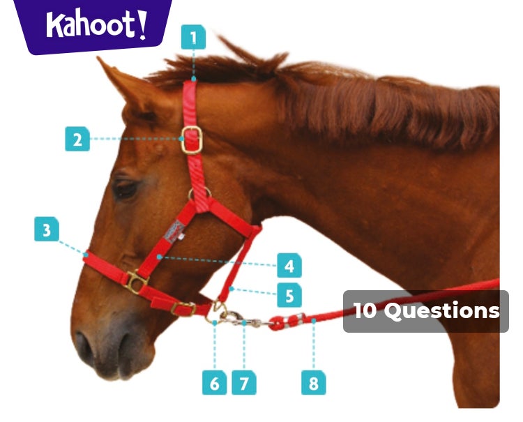 Licol et nœud - Galop 1 - FFE - Kahoot! Quiz