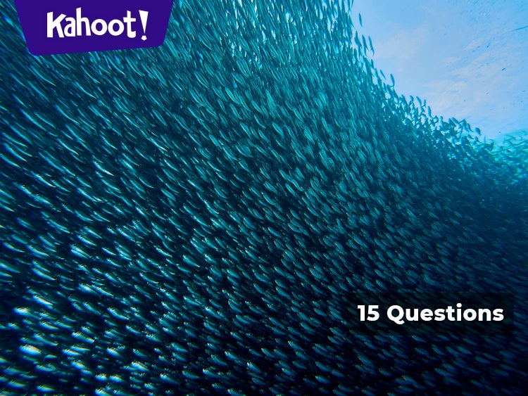A School of Fish: Groups of Water Dwelling Animals Trivia - Kahoot! Quiz