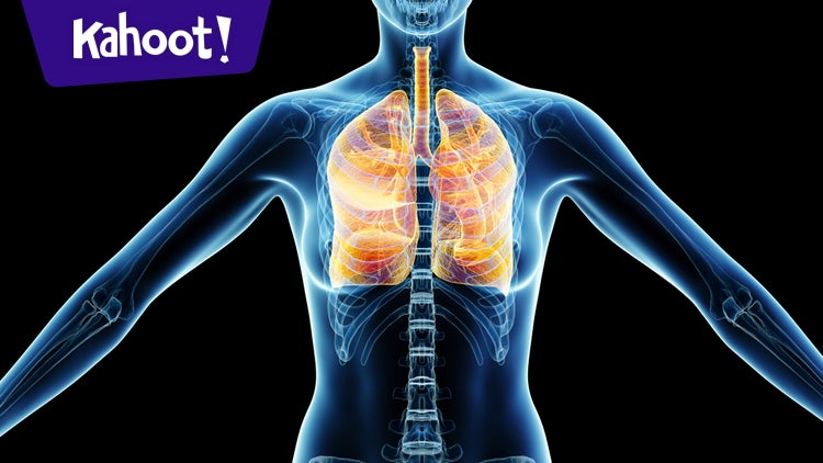 Respiratory System & Healthy Living - Kahoot! Quiz