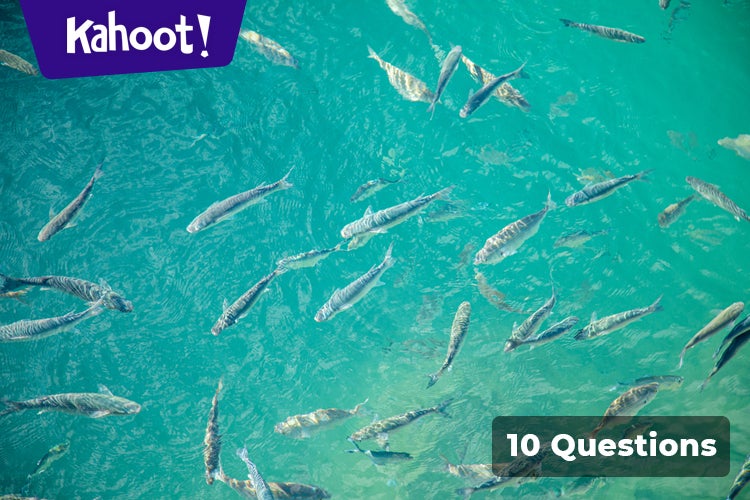 Fun Fish Facts - Kahoot! Quiz