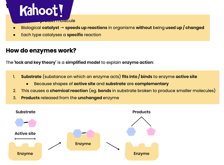 Enzymes and digestion, GCSE AQA Biology - Kahoot! Quiz