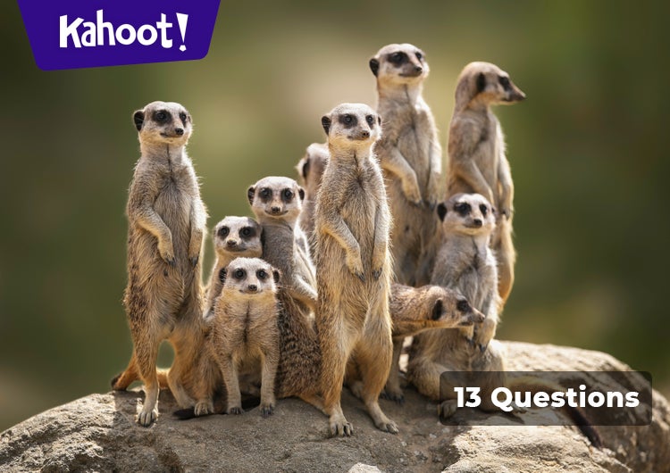 Animal groups - 2nd HW. - Kahoot! Quiz