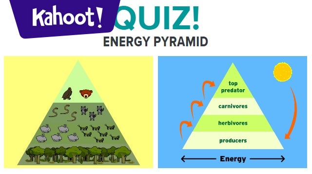 BrainPOP: Energy Pyramid - Kahoot! Quiz