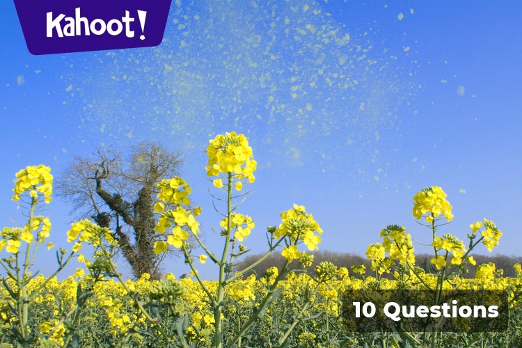 DME K plants - Kahoot! Quiz