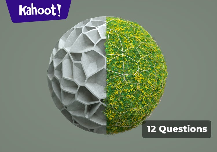 Using Transitions in Writing - Kahoot! Quiz