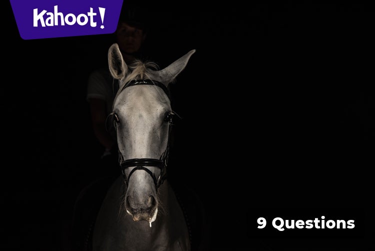 Yippee 3 start 7 - Kahoot! Quiz