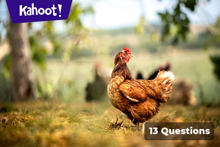 Animals - Kahoot! Quiz