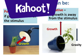 Plant hormones - Kahoot! Quiz