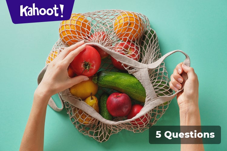 Which bag should you use? - Luka Seamus Wright and Imogen Ellen Napper ...