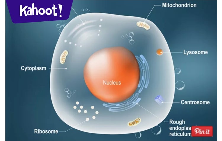 Quiz 804 (2) - Cell Structure - Kahoot! Quiz