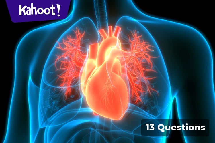 Cardiovascular - Heart Anatomy - Kahoot! Quiz