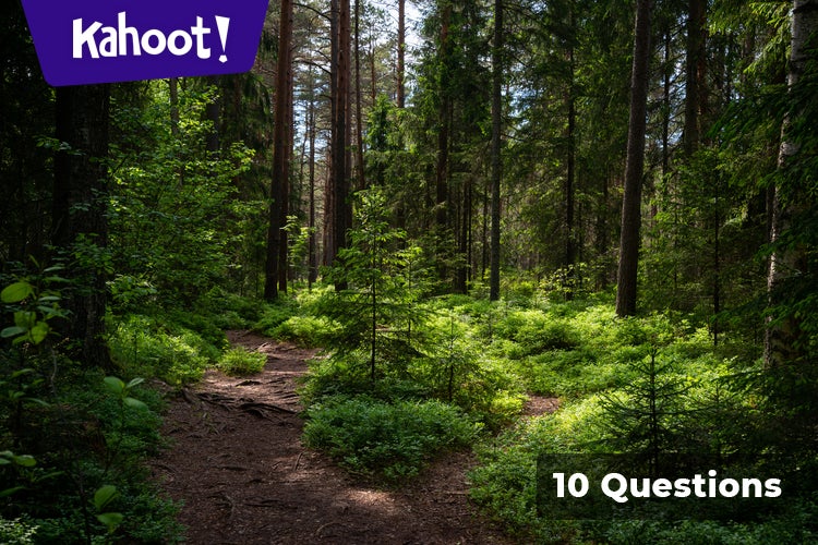 Goldilock and the three bears - Kahoot! Quiz