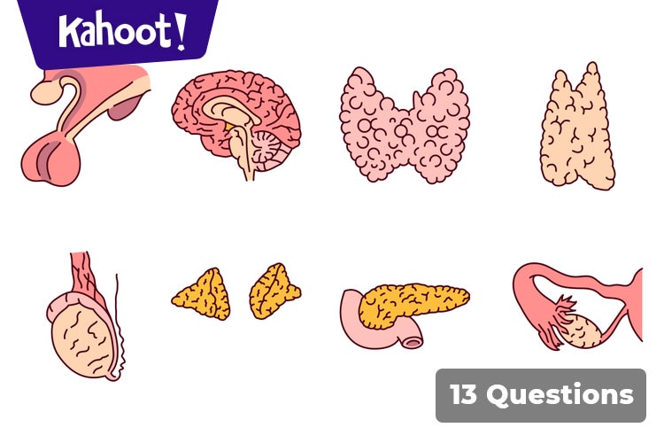 A&P 2 - The Endocrine System - Kahoot! Quiz