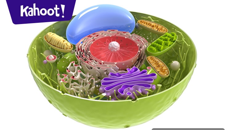 Plant and Animal Cells - Kahoot! Quiz
