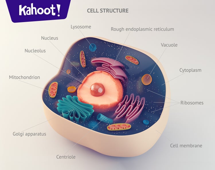 General Anatomy & Physiology - Kahoot! Quiz