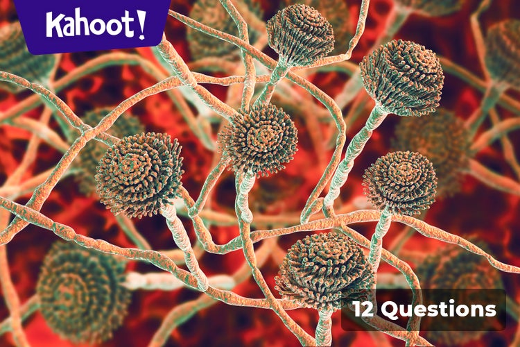 Protists and fungi - Kahoot! Quiz