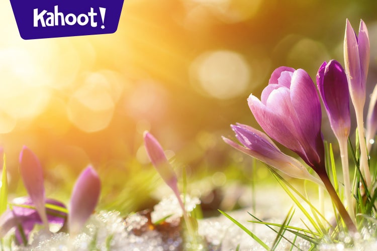 Plant Bodies as Systems - Kahoot! Quiz