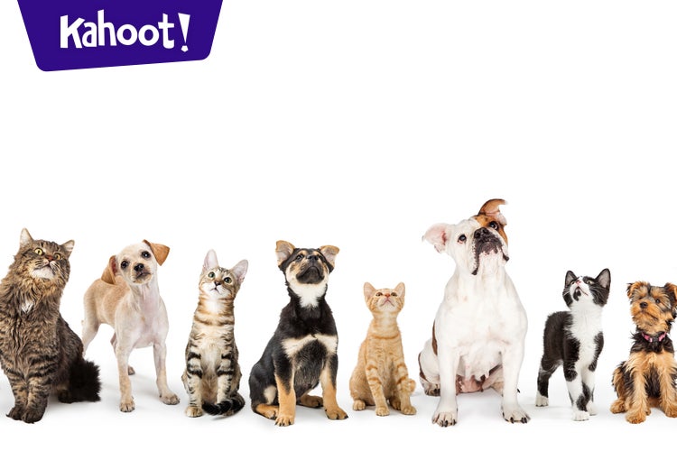 Guess the animal - Kahoot! Quiz