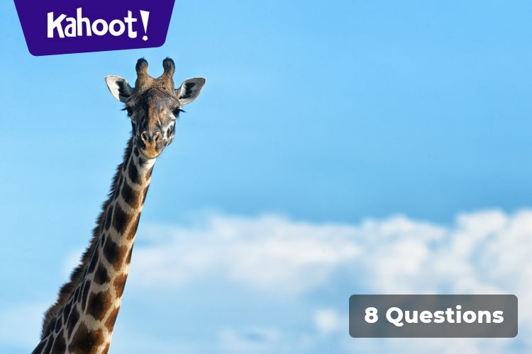 Finding Angles in a Right Triangle using Trig! - Kahoot! Quiz