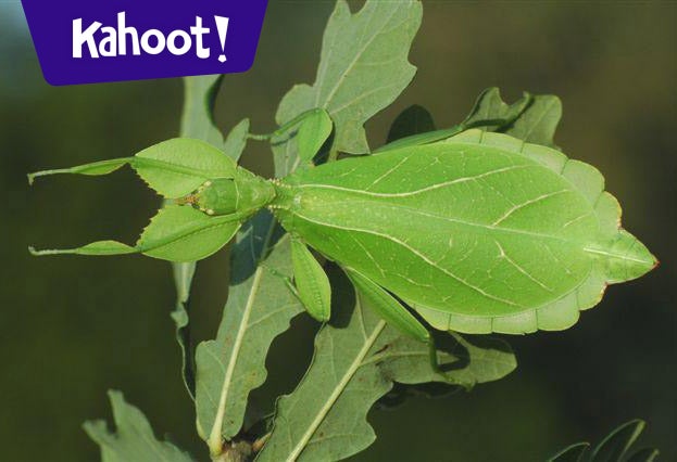 Review Game: Adaptation and Natural Selection - Kahoot! Quiz