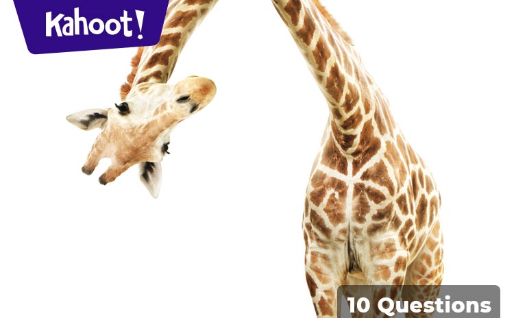 Guess What animals can... - Kahoot! Quiz