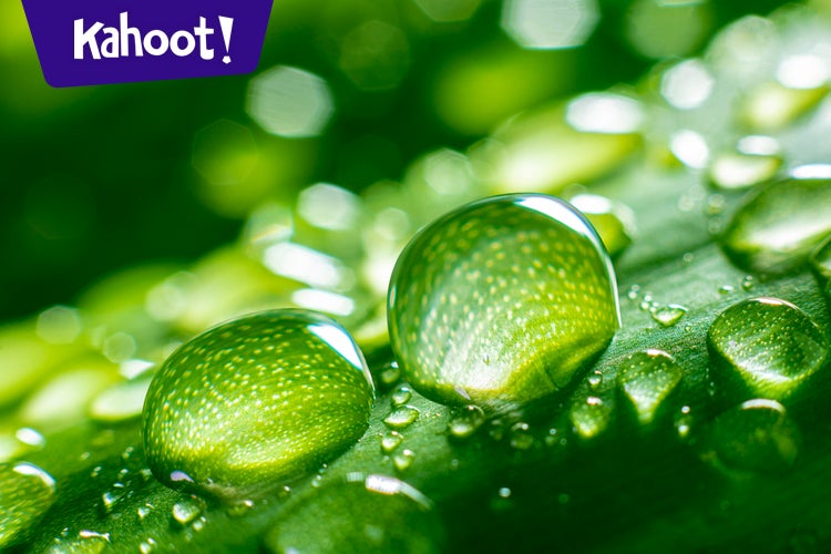 Properties of water lesson and lab - Kahoot! Quiz