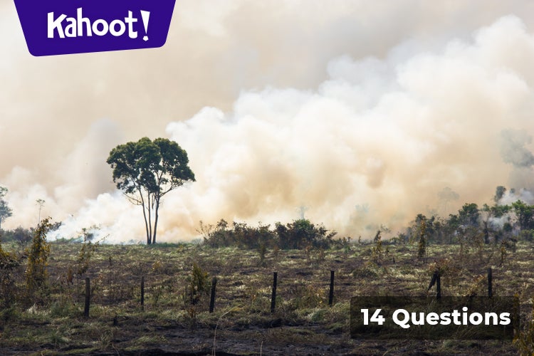 Causes of deforestation - Kahoot! Quiz