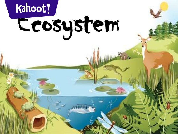 Ecosystems - Vocabulary - Kahoot! Quiz