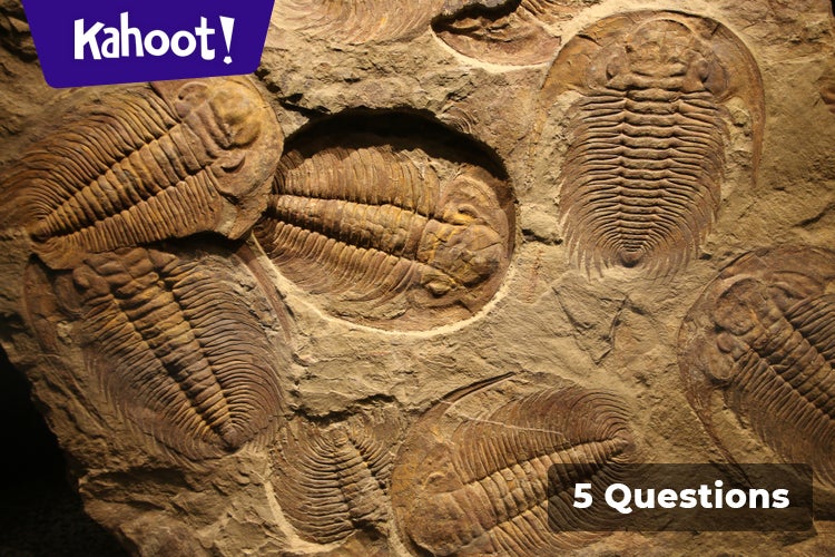 Fossils - Kahoot! Quiz