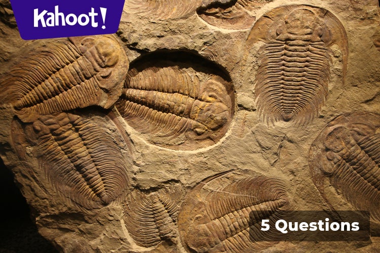 Fossils - Kahoot! Quiz