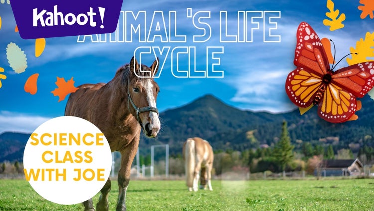 Animals' life cycles - Kahoot! Quiz