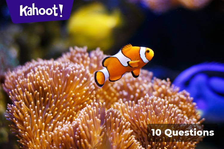Sea Animals - Kahoot! Quiz