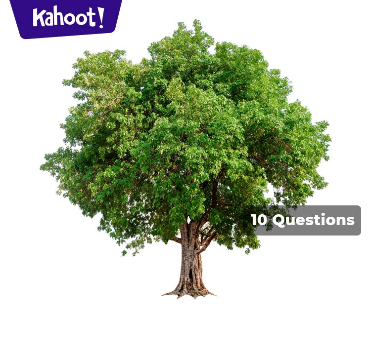 Adjective Clause - Kahoot! Quiz