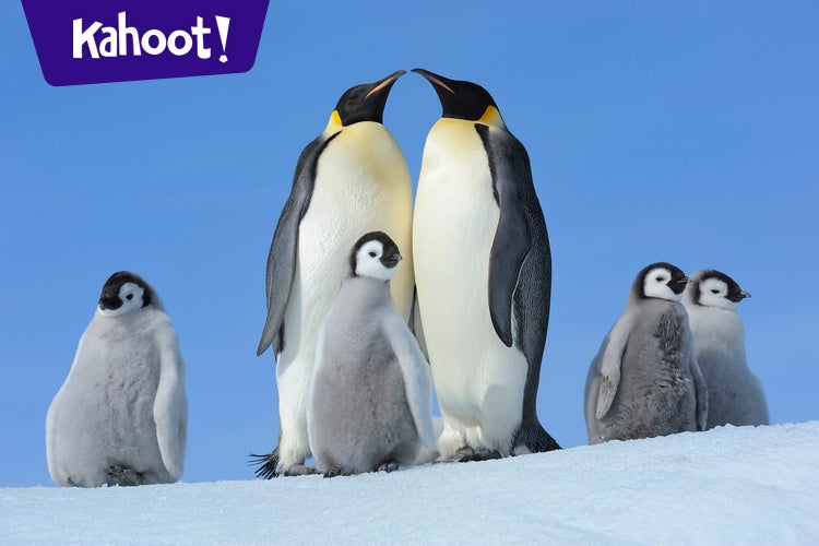 Family and friends 3. Review units 4-6. - Kahoot! Quiz