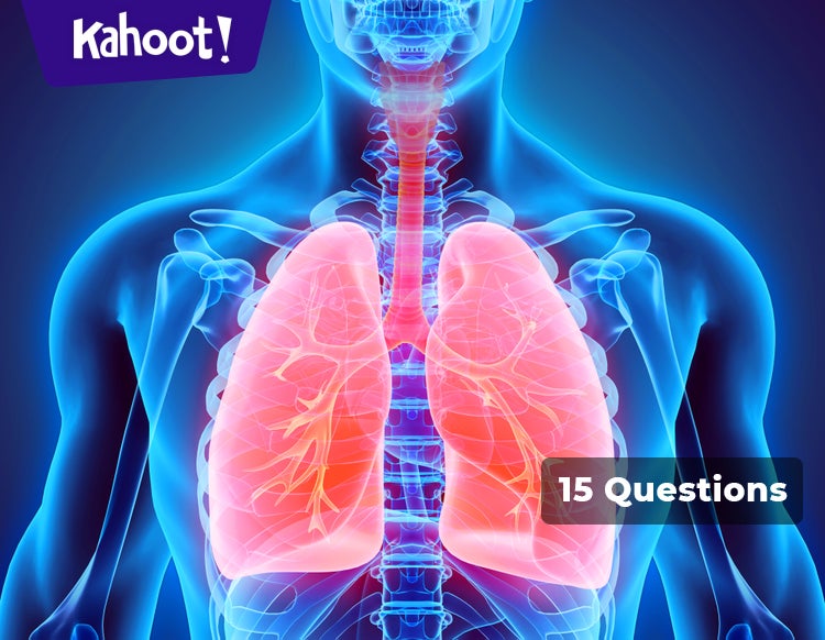 Respiratory system: Ventilation - Kahoot! Quiz