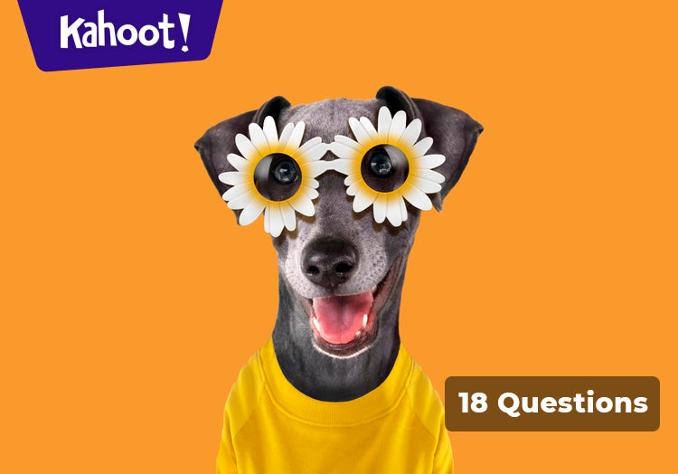 TYPES of ANIMALS - Kahoot! Quiz