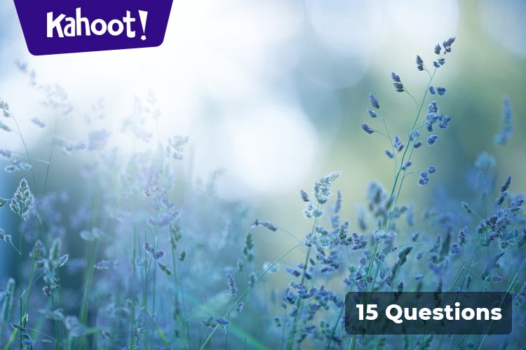 YIPPEE 4 KAPPALE 9 SANASTO - Kahoot! Quiz