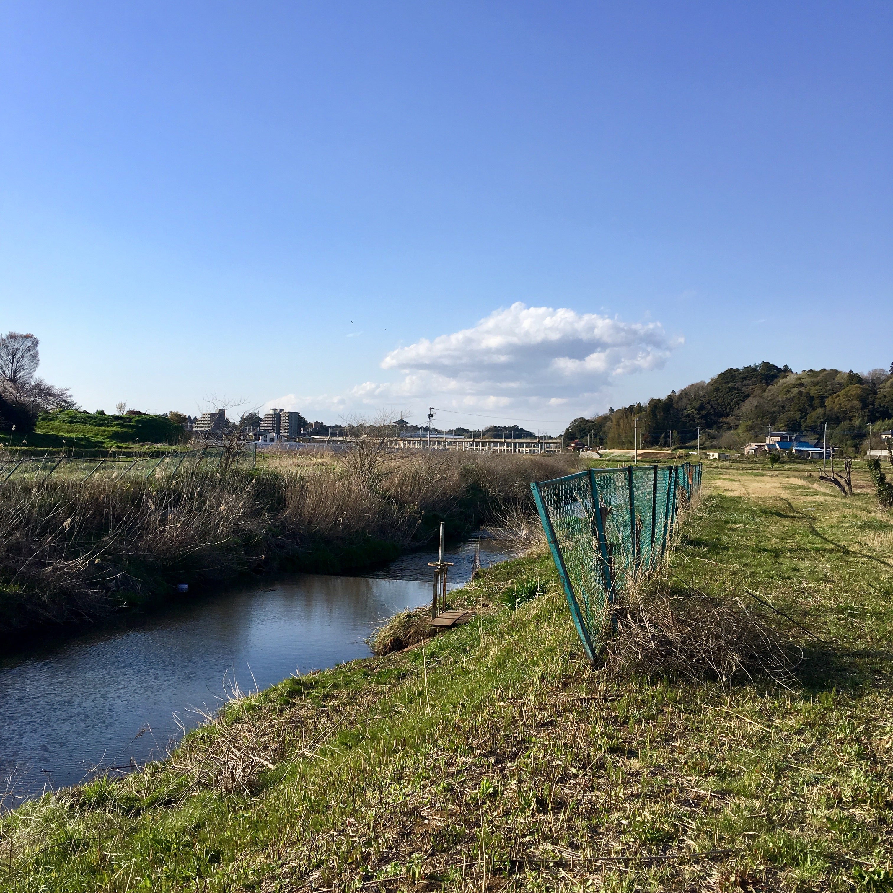 High School Art, Drawing Vocabulary - Kahoot! Quiz