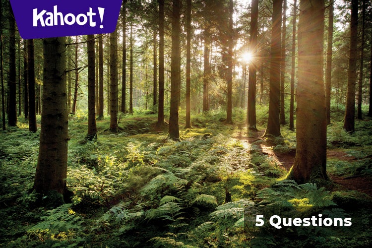 Plant Reproduction and Growth: Lesson Quiz - Kahoot! Quiz