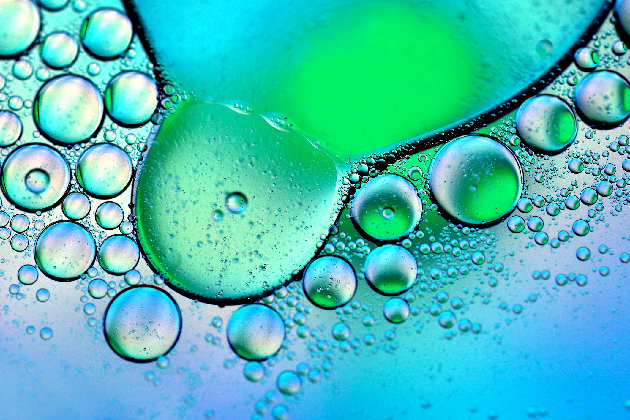 Understanding Cell Division and the Cell Cycle - Kahoot! Quiz
