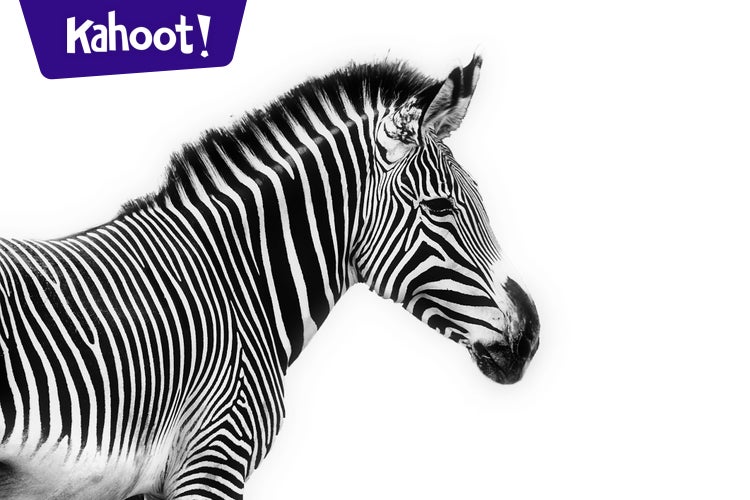 Animals. Kids - Kahoot! Quiz