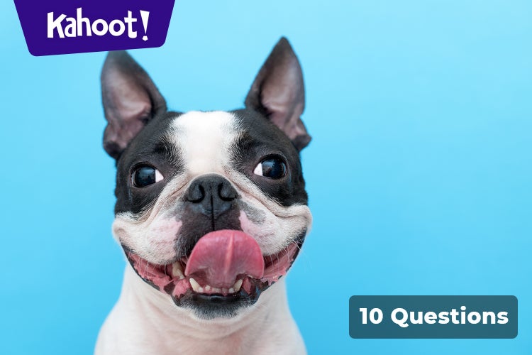 Grade 2 Eureka Mid-Module 5 Review - Kahoot! Quiz