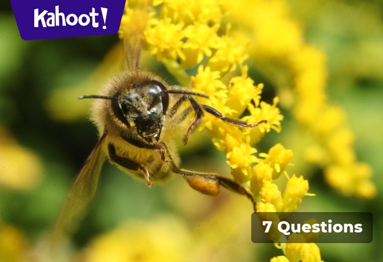 REVIEW-LIVING THINGS - Kahoot! Quiz