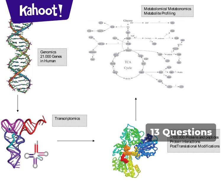 Bio: Category 3 Biological Evolution & Classification - Kahoot! Quiz